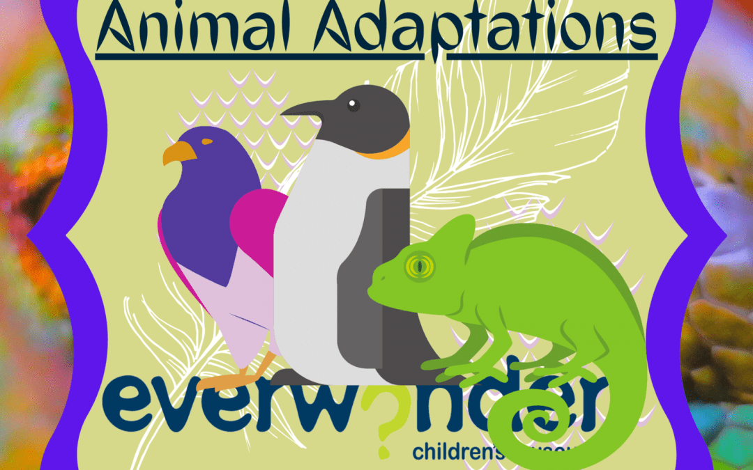 Animals Adapt! | Everwonder Children's Museum